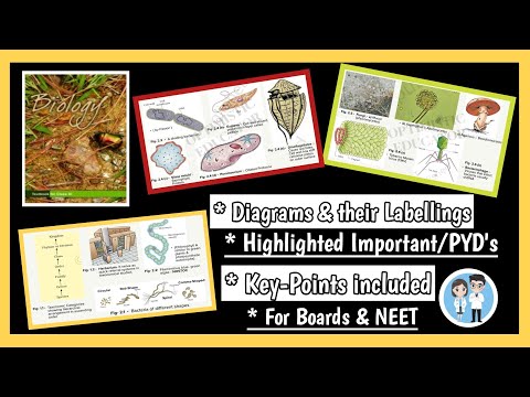 NCERT Biology || All Diagrams & Charts || Unit-1 || Class 11th & NEET || PDF (Description Box)