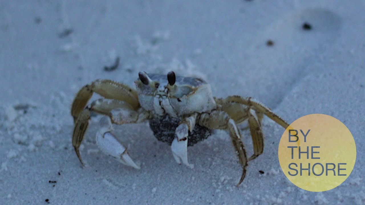 Module 3 Still Slides