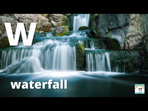 Five Words that Start with W | ABC | Alphabet