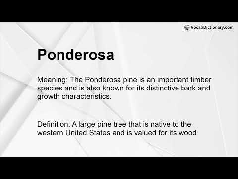 Ponderosa Meaning