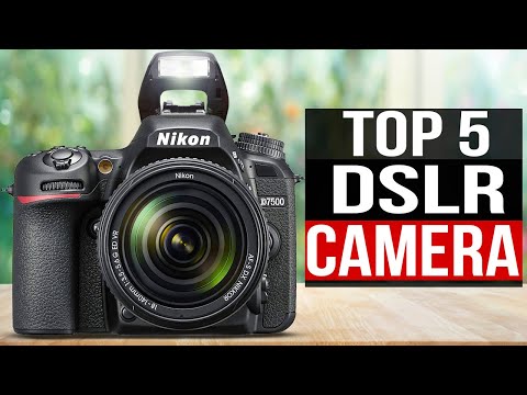 TOP 5: Best DSLR Cameras for 2024