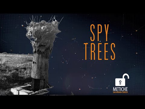 El espionaje informático: la poderosa estrategia del siglo XXI | Tecnología