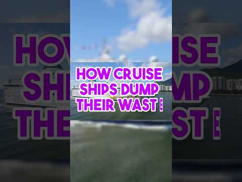 How cruise ships dump their waste #thewwinsight #viralvideo #shortvideo #viral