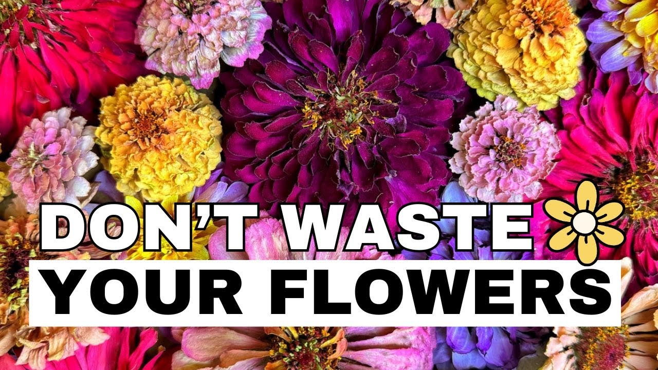 Let’s Make DRIED FLOWER ART 🌸 How to Dry Flowers 🌸 DIY Home Decor From Your Flower Garden
