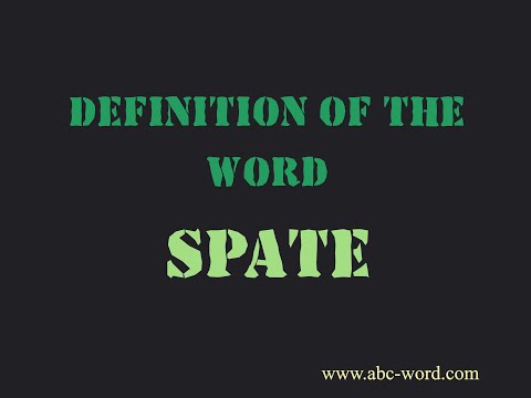 Definition of the word "Spate"