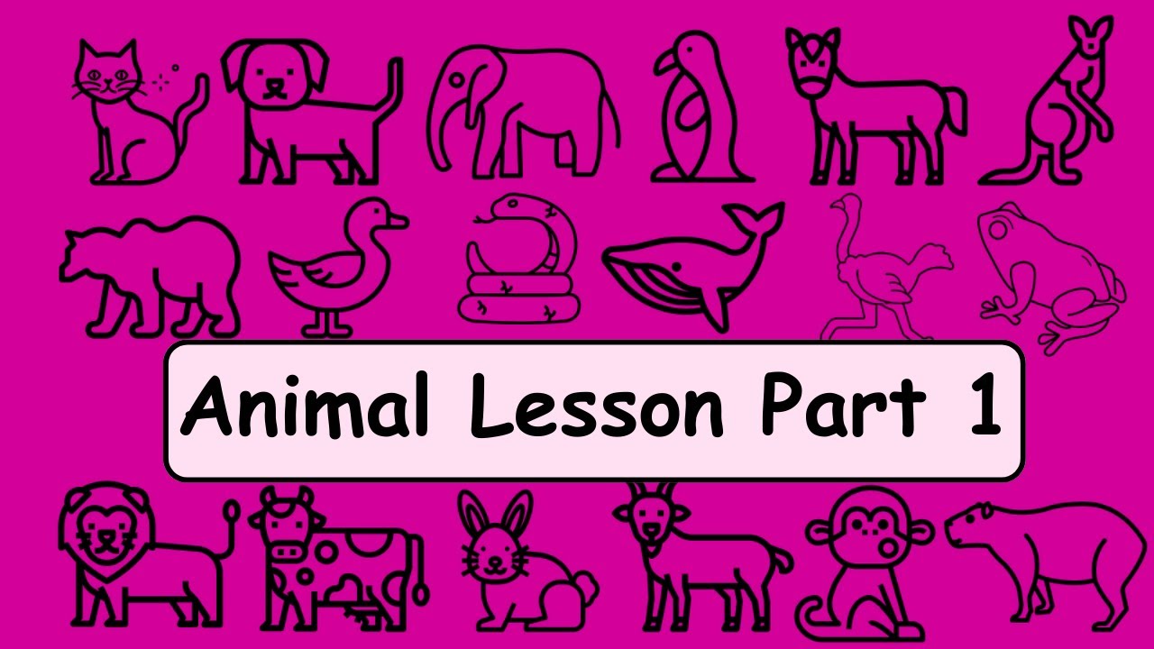 ESL - Eighteen Animals! with Worksheets