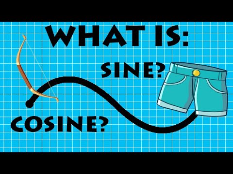What does Sine and Cosine mean? | VCE METHODS