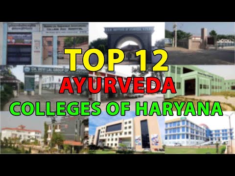 Top 12 BAMS Colleges of Haryana | Haryana Ayurveda Colleges 2022 #bams #bams2022