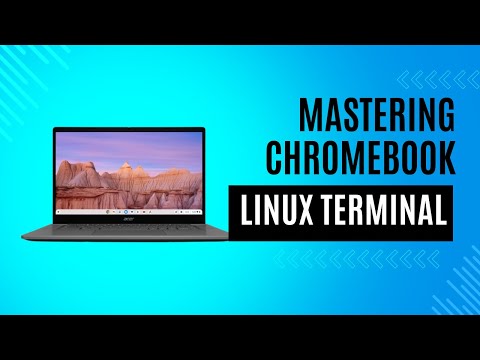Master Linux terminal commands using Crosh and Crostini in ChromeOS