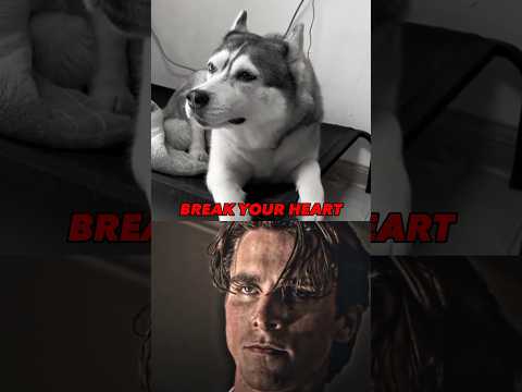 Dog Sad Moments CRYING DOG ❤️🩹