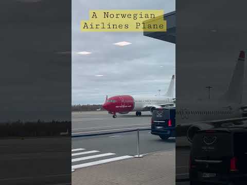 What A Norwegian Airlines Commercial Jet Looks Like #airplanes #shorts
