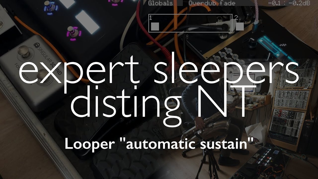 disting NT - Looper 
