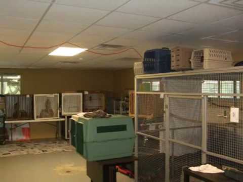 Ohio Wildlife Center Career Day Movie