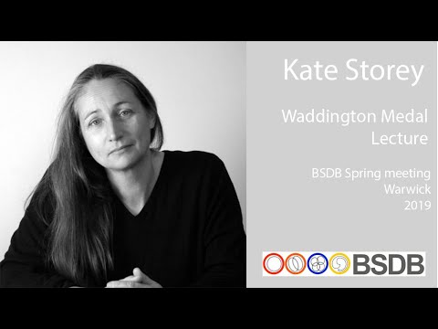 Kate Storey   Waddingon medal 2019 YouTube