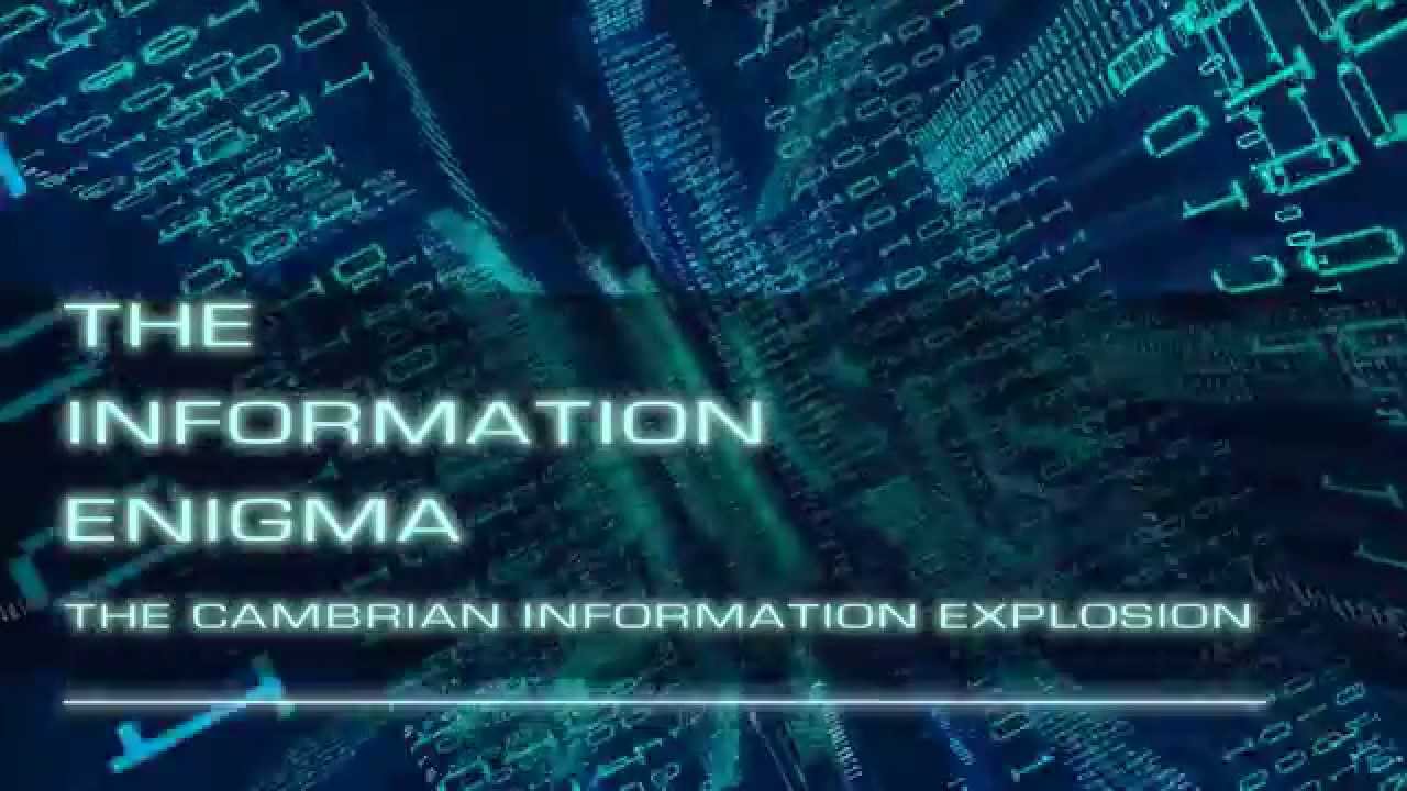 Information Enigma Trailer