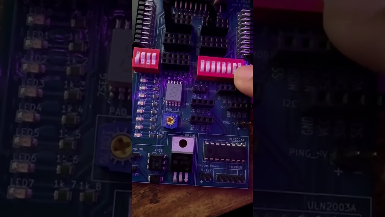 Lab 5 Activity 2 Section 1