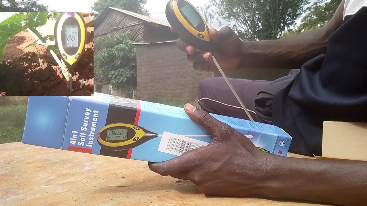 Don't Just Plant Trees, or Anything, Start with the Basics! Soil ...