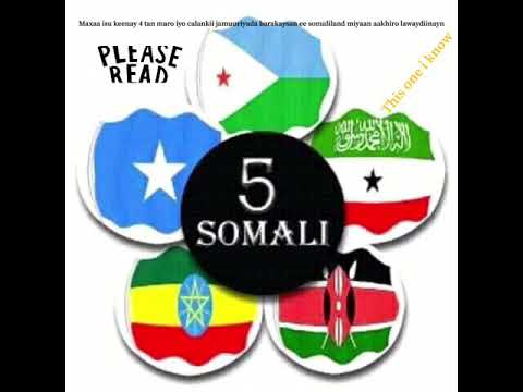 Somaliland flag🏃with wrong crew