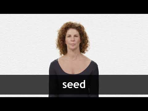 How to pronounce SEED in American English