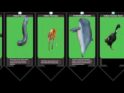 Animals That Start With I - Ignite Interest in Intriguing Species.