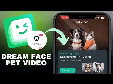 How to Use Pet Video on DreamFace AI - Animate Your Pet with AI!
