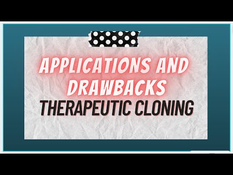Advantages and Disadvantages of Therapeutic Cloning