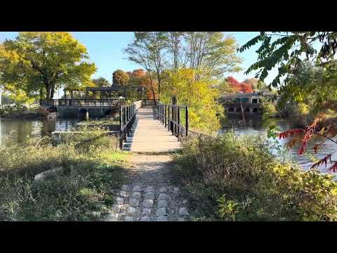 Pawpaw Michigan Maple Lake