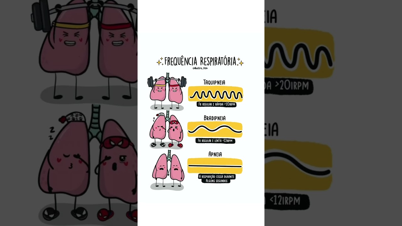 Frequência respiratória | Taquipneia, bradipneia, apneia