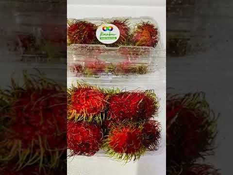 Rambutan - Wholesale Price & Mandi Rate for Rambutan