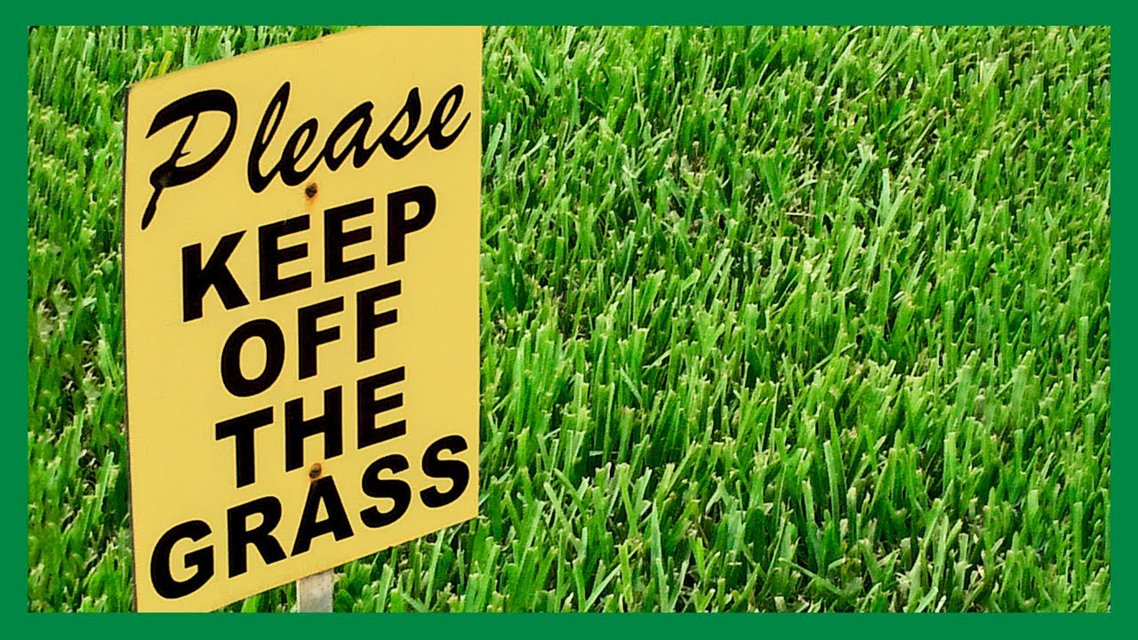 Keep Off The Grass - The History of The Lawn | LAH