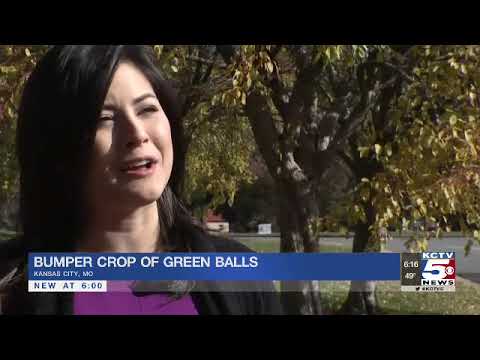 Odd Balls | Nathan Vickers