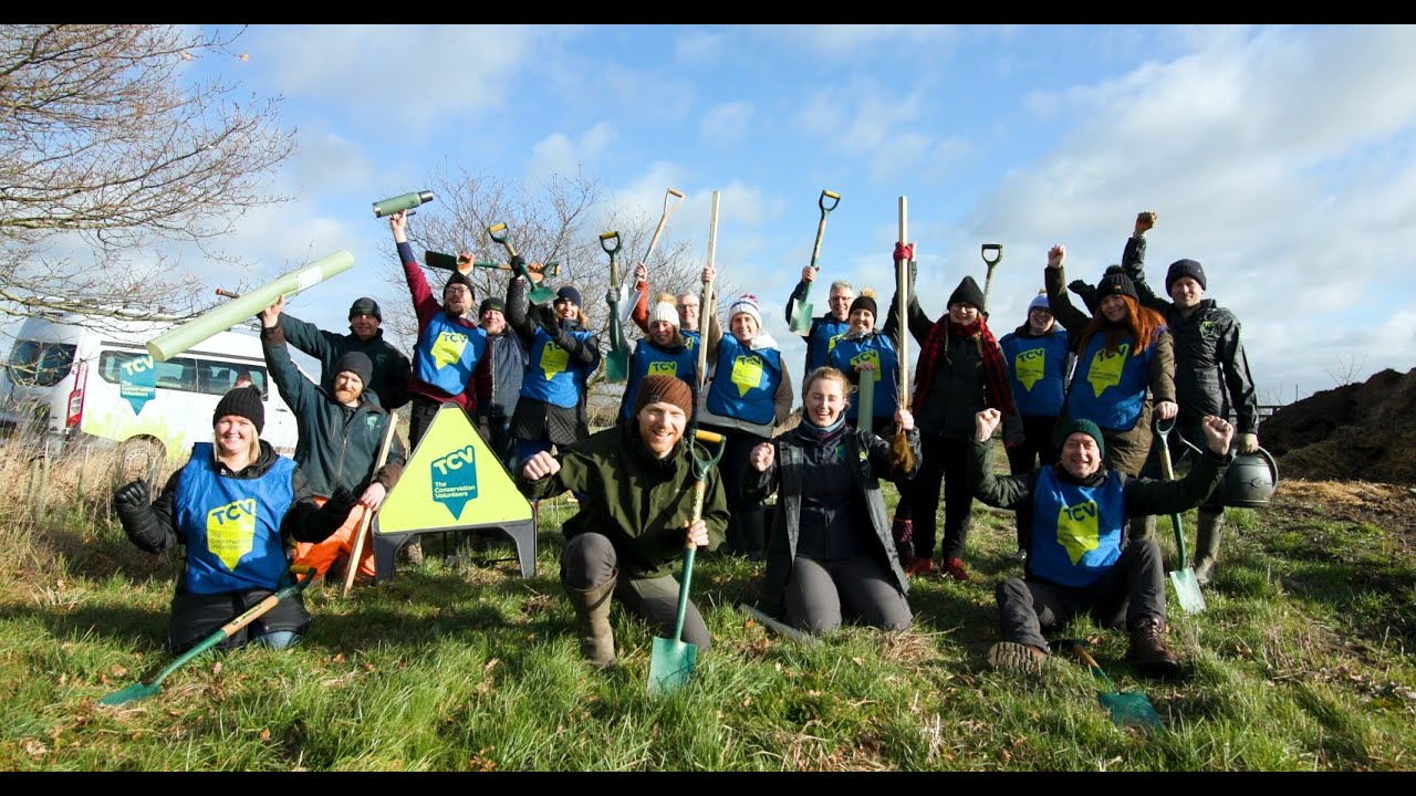 I Dig Trees - 3 million free trees, and growing!