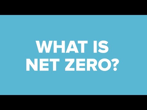 What does net zero mean for the project profession?