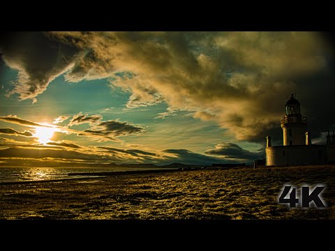 Videos – Alex Disney