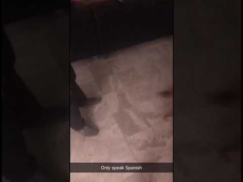 Dogs that only understand Spanish