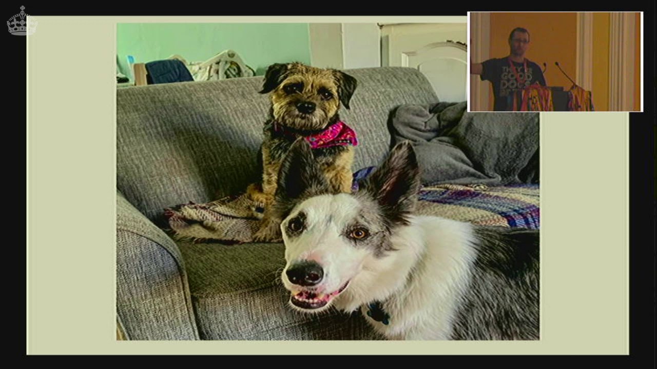 Training my dog with Python