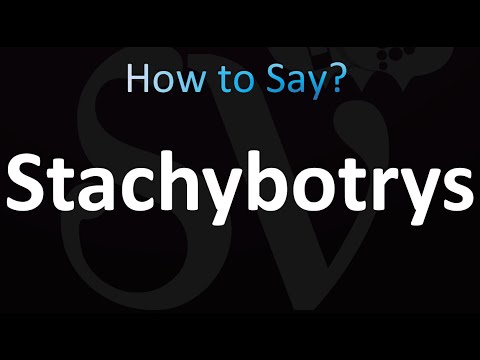 How to Pronounce Stachybotrys (Correctly!)