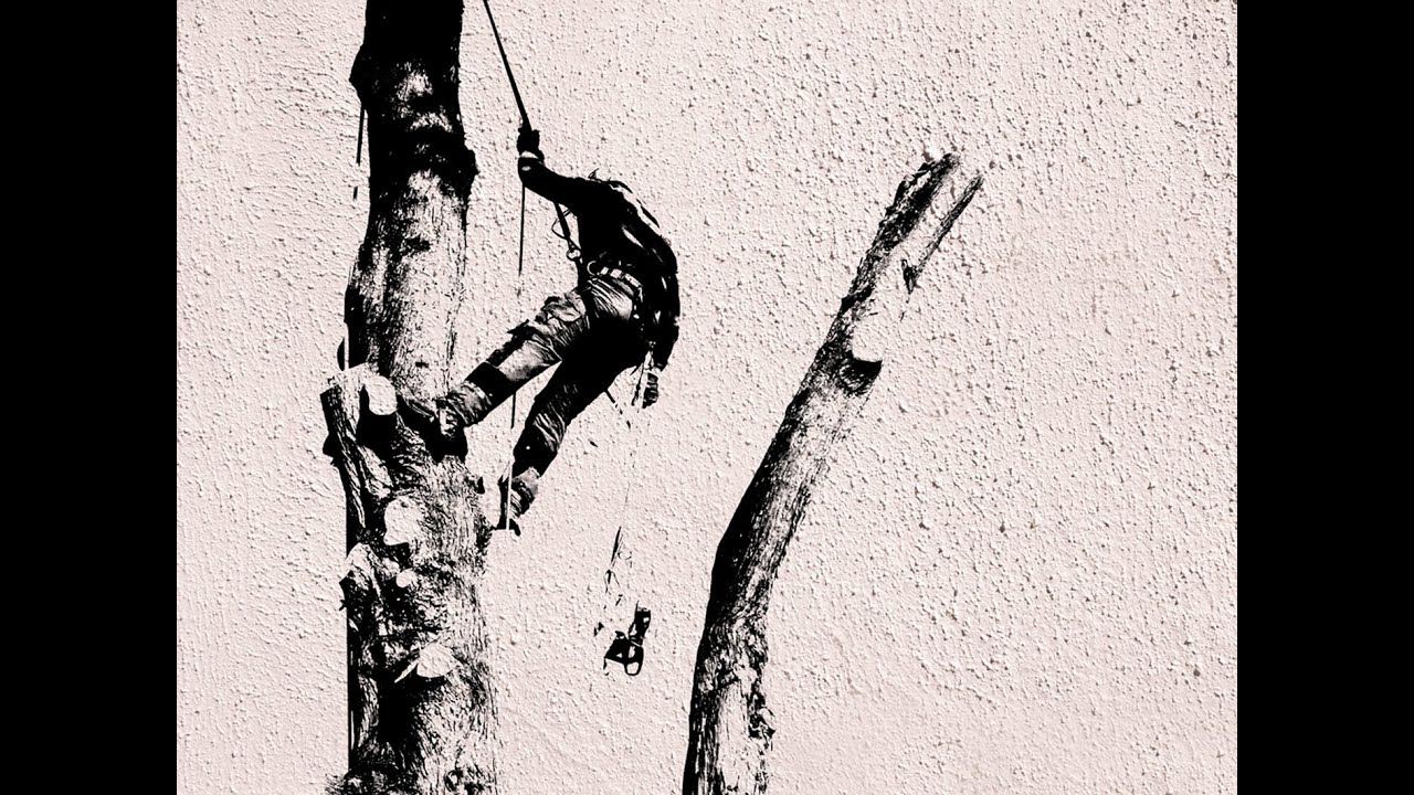 JW Tree Services