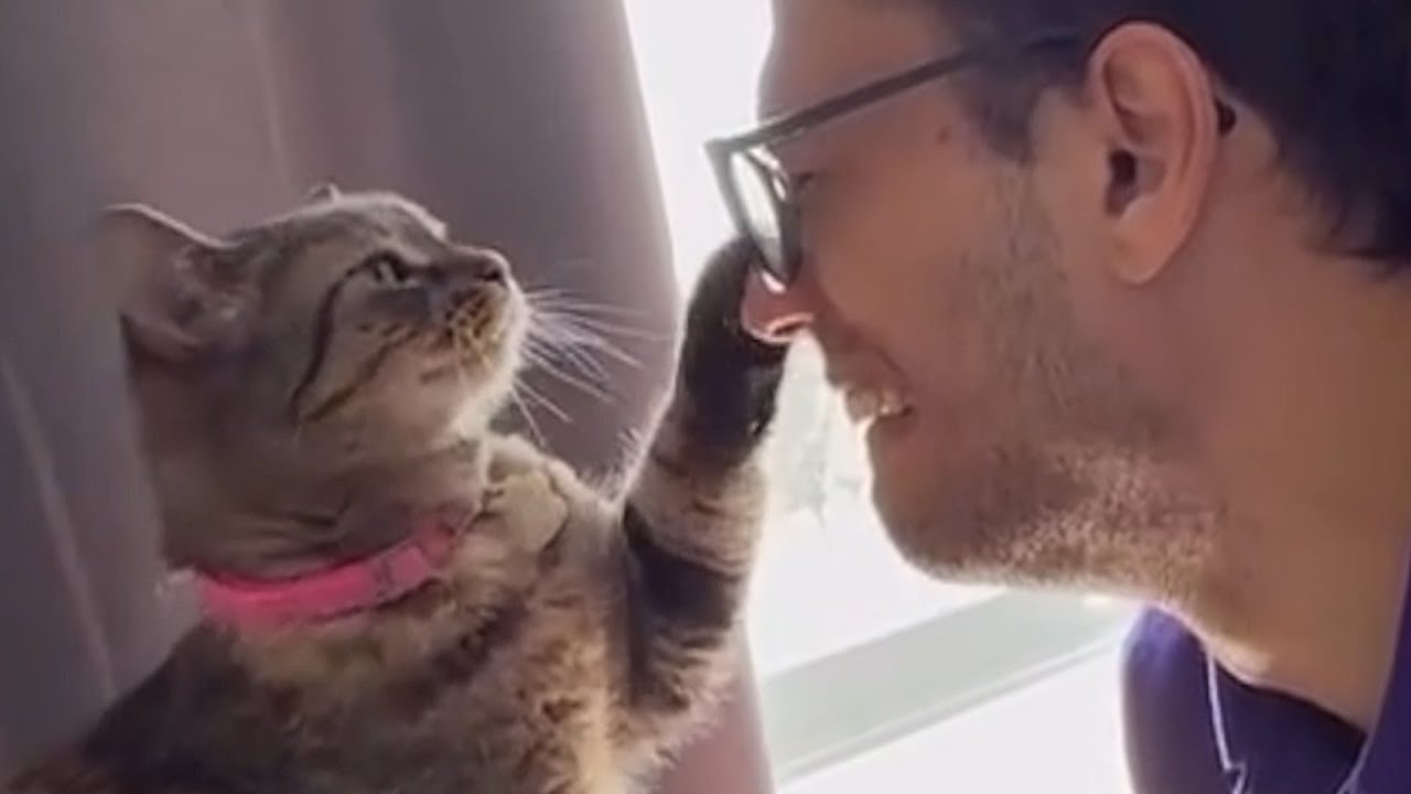 Cat keeps hugging for heartbreaking reason