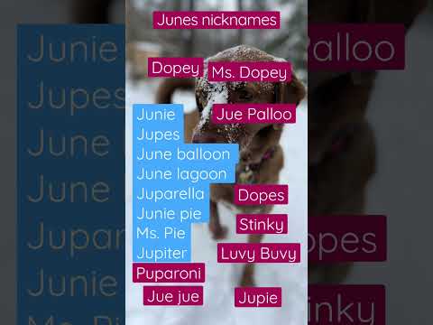 June’s nicknames! #dog #nicknames