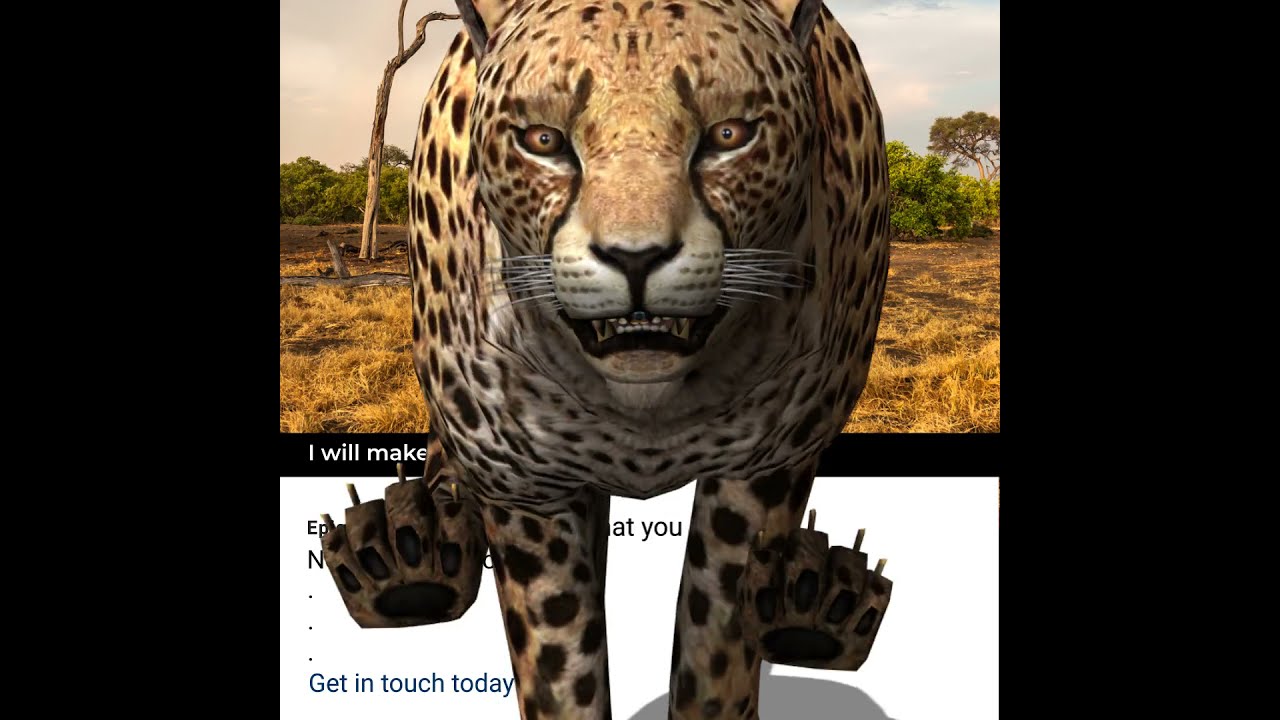 EpicVideoCreations
