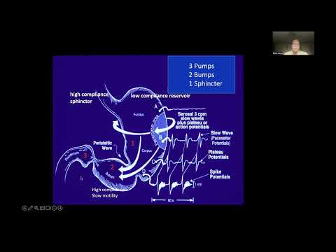 Rediscovering gastric motility and Electrogastrography in relation to disease - Dr. Mark Noar