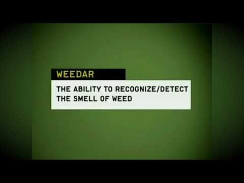G4 Urban Dictionary - Weedar (Widescreen)