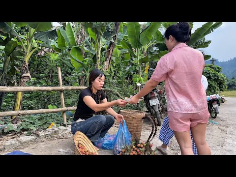 Help the old lady harvest sesame seeds and lychees to sell at the market