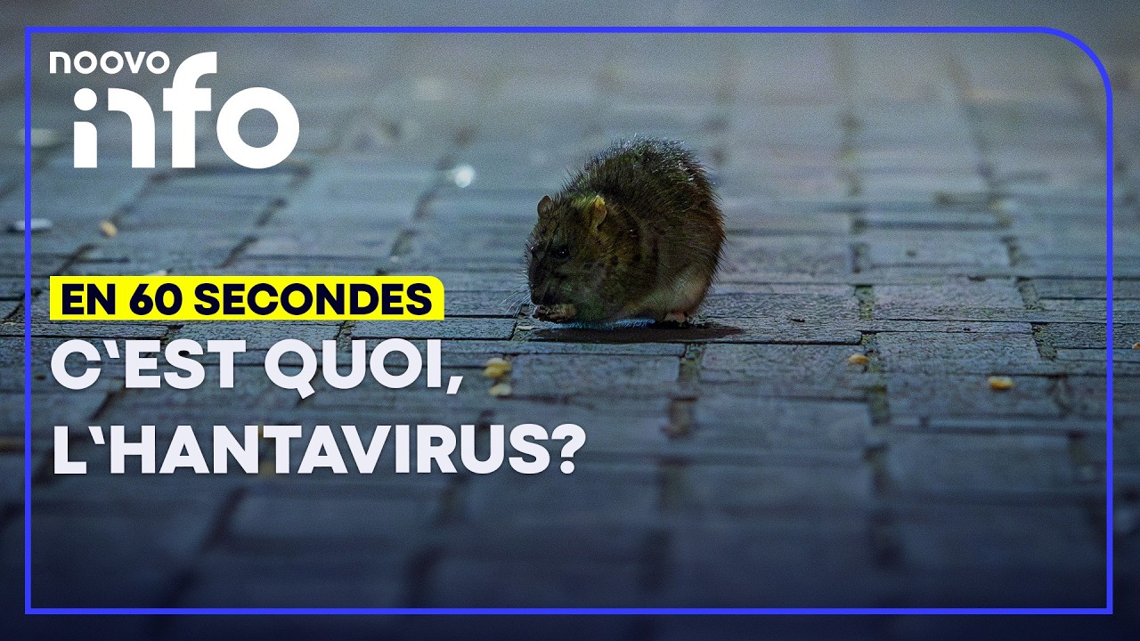 Qu'est-ce que l'hantavirus, qui a été fatal pour des croisiéristes?