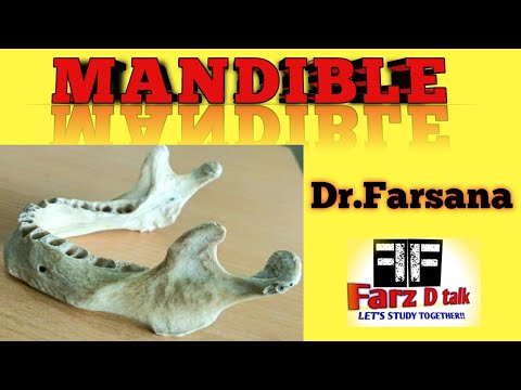 MANDIBLE BONE/Skull Anatomy/Bony Landmarks/Study with Dr.Farz/