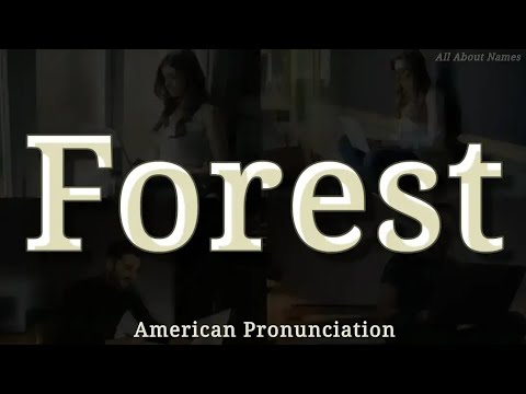 Forest: American Pronunciation, Meaning, and Usage in Sentences