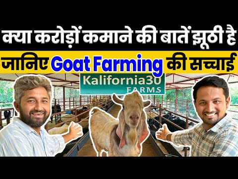 कैसे शुरू करें Goat Farming ?🤔💯Zero से Hero बनने का Business Plan🤑Indian Farmer