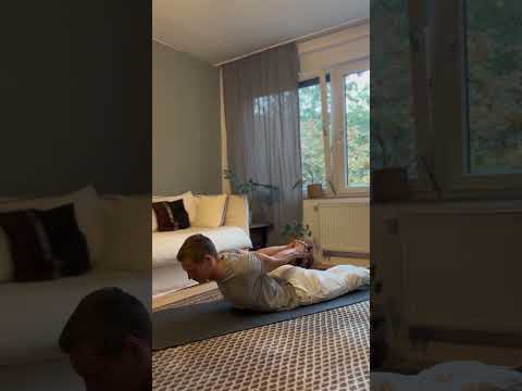 Hatha Yoga Anfängerkurs Snippet - Yoga Vidya Dortmund