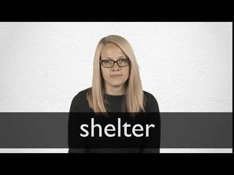 SHELTER definition and meaning | Collins English Dictionary